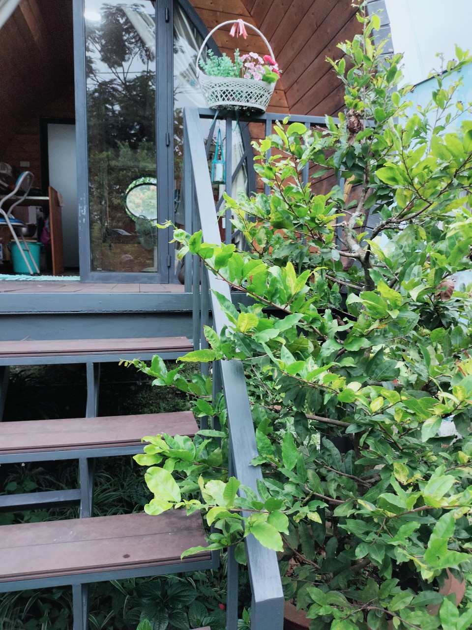 GOOC cải tạo nhà gỗ di động cho khách hàng ở Quận 9 Hồ Chí Minh