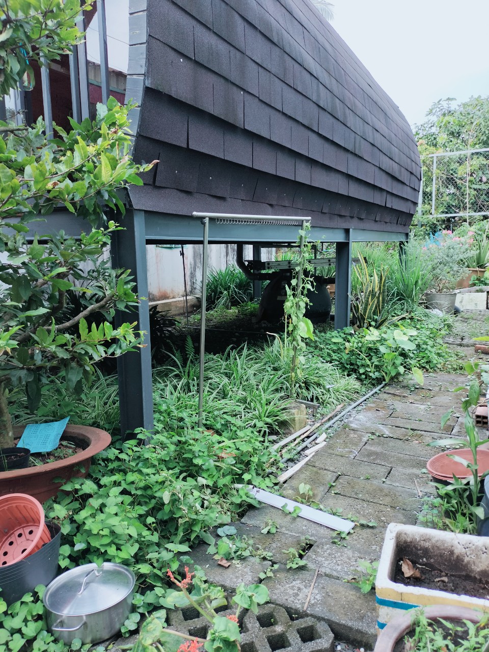 GOOC cải tạo nhà gỗ di động cho khách hàng ở Quận 9 Hồ Chí Minh